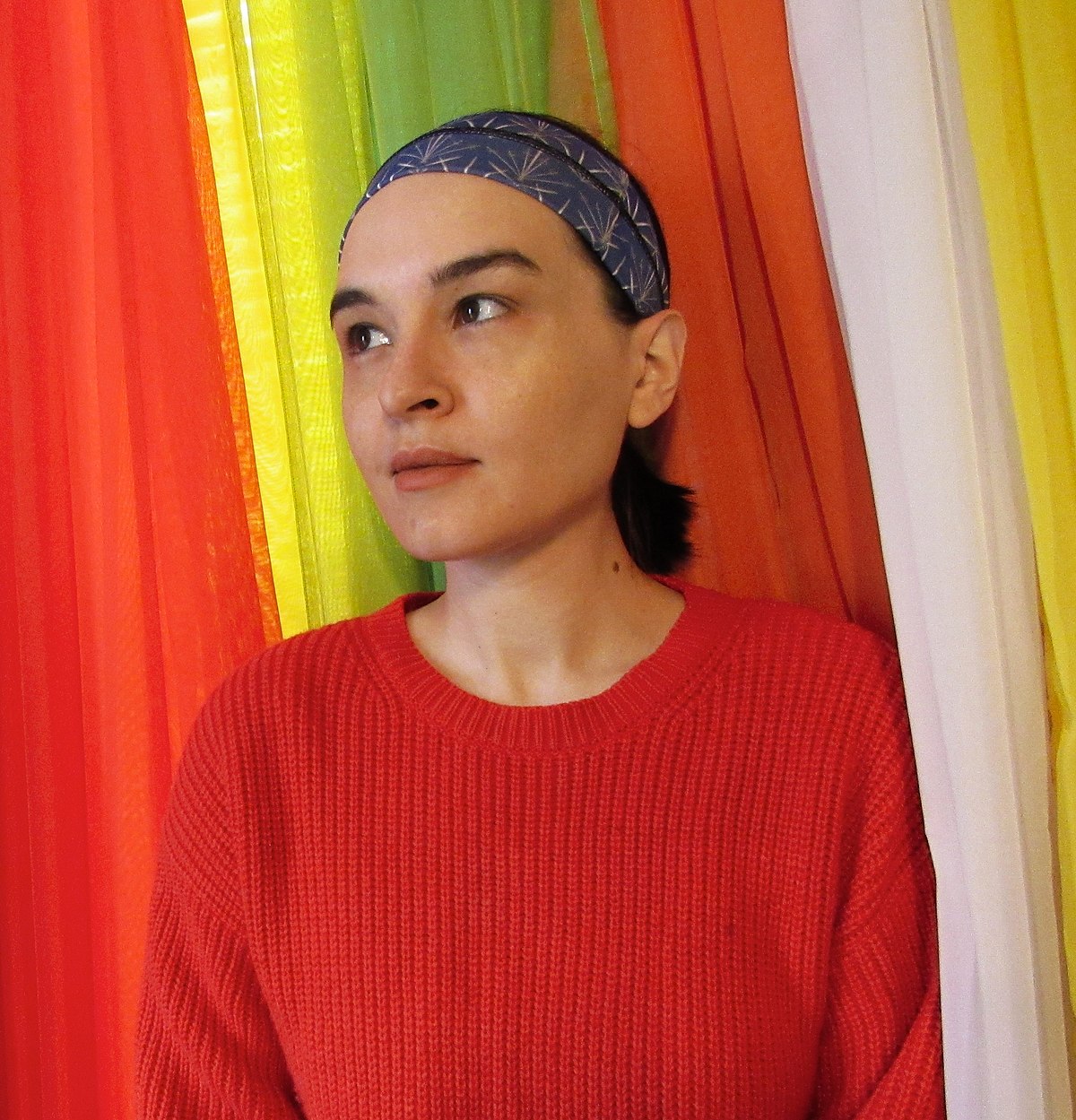 Bookish Bingo: Read a Book Written by a NAFNIP Author – Mead Public ...